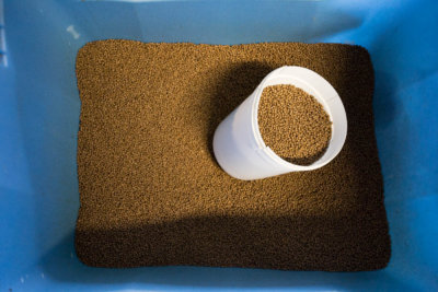 6 Things You Need to Know About Potassium in Aquaponics - Upstart ...