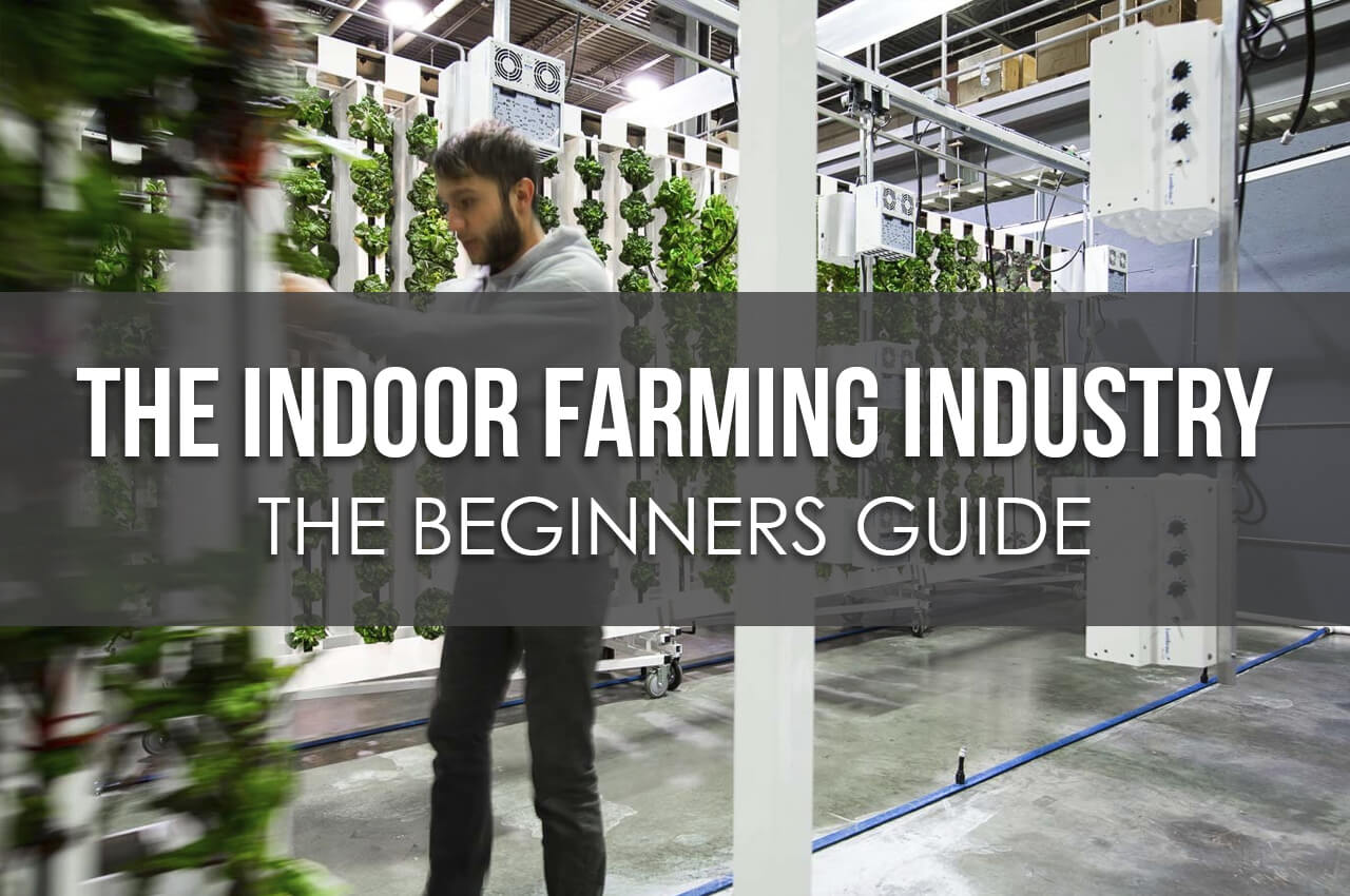 The Beginner's Guide to the Indoor Farming Industry - Upstart University