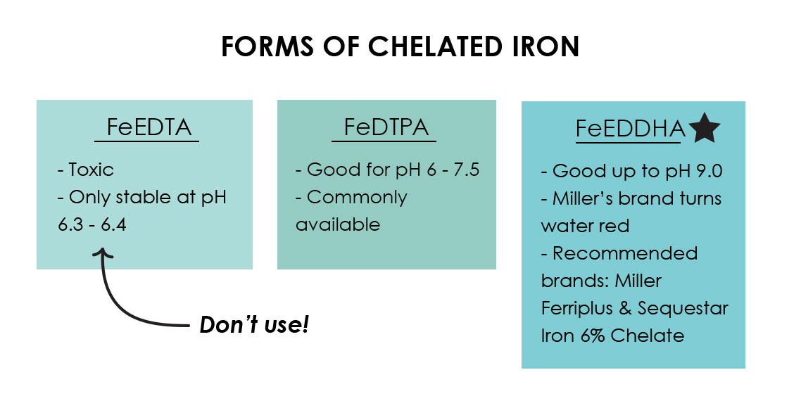 The Beginner's Guide to Iron in Aquaponics - Upstart University