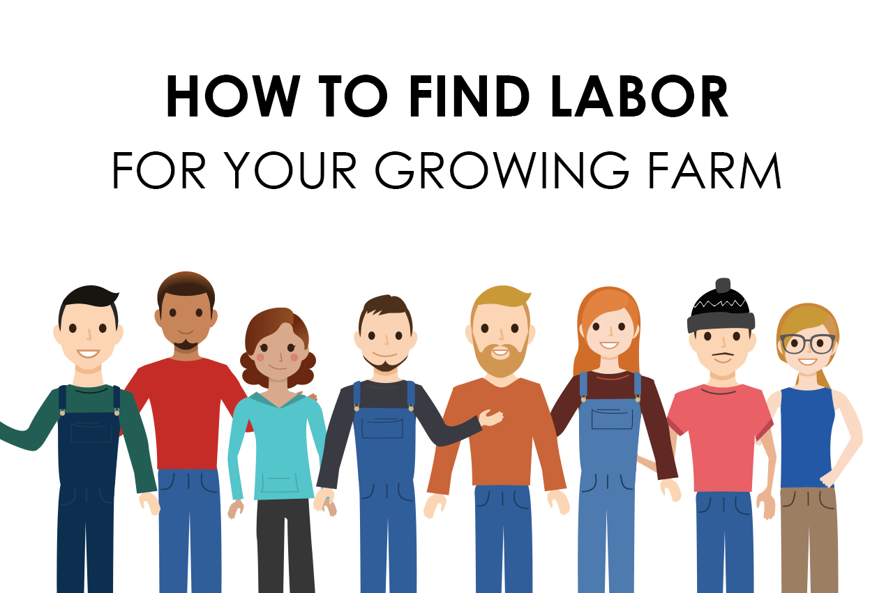 How to Find Indoor Farming Labor for Your Growing Farm - Upstart University