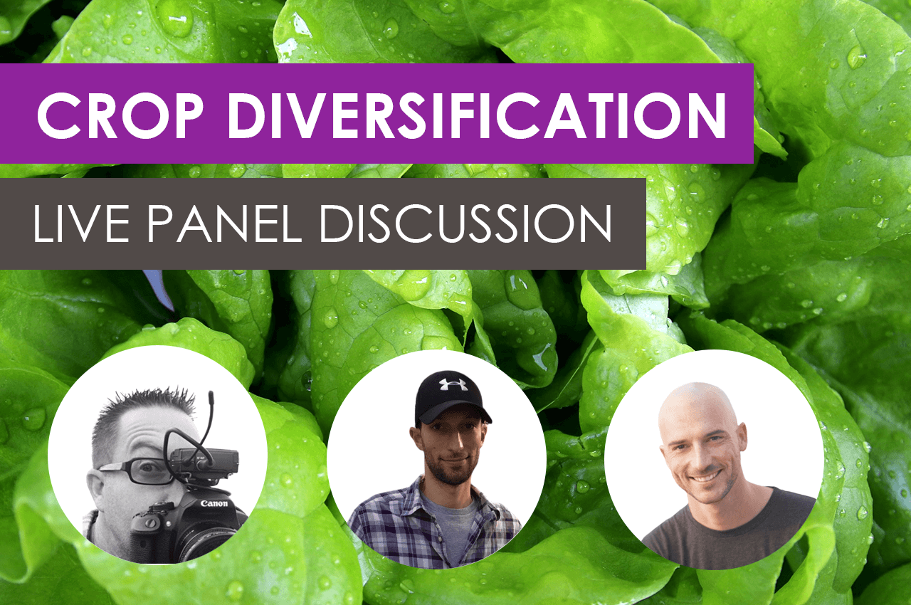 Pros & Cons of Crop Diversification for Indoor Farmers