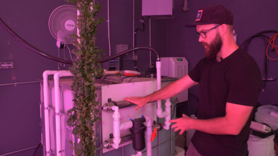 Plumbing in Hydroponics: What You Need to Know About Valves - Upstart ...