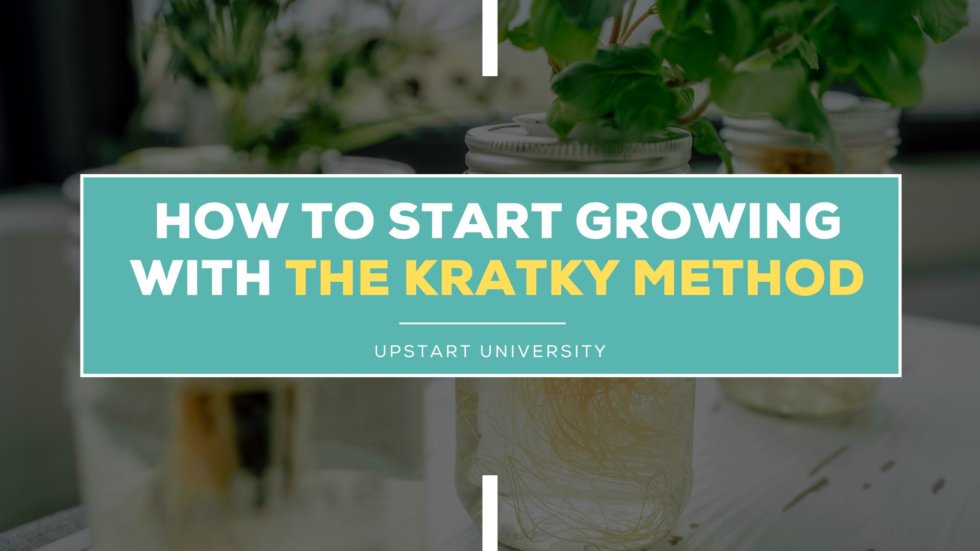 How To Start Growing With The Kratky Method - Upstart University